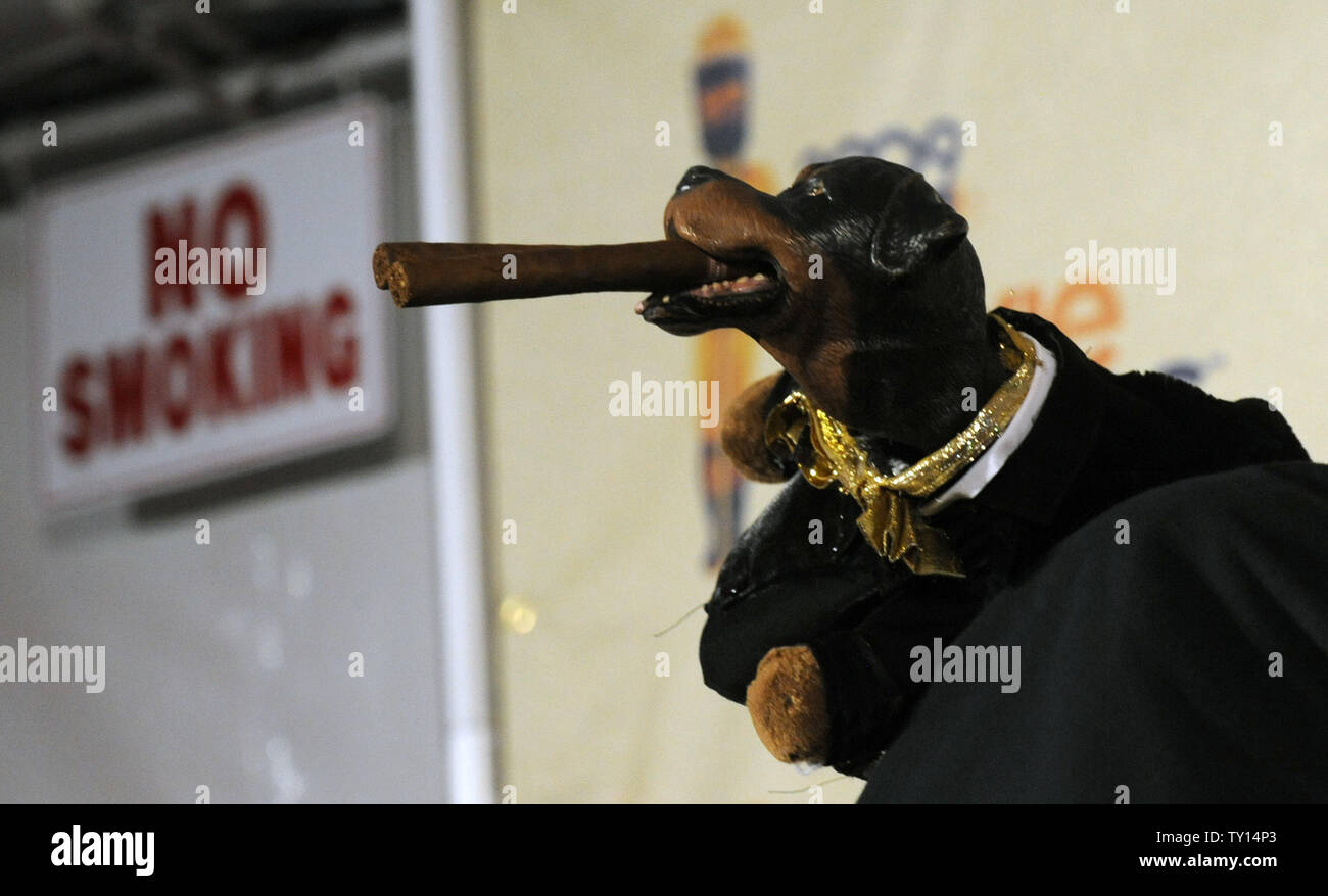 Triumph the Insult Comic Dog appears backstage at the MTV Movie Awards ...