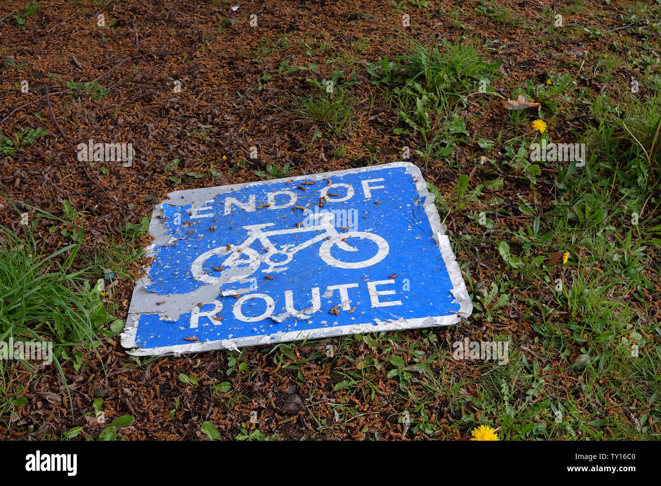 Cycle route signs hi-res stock photography and images - Alamy