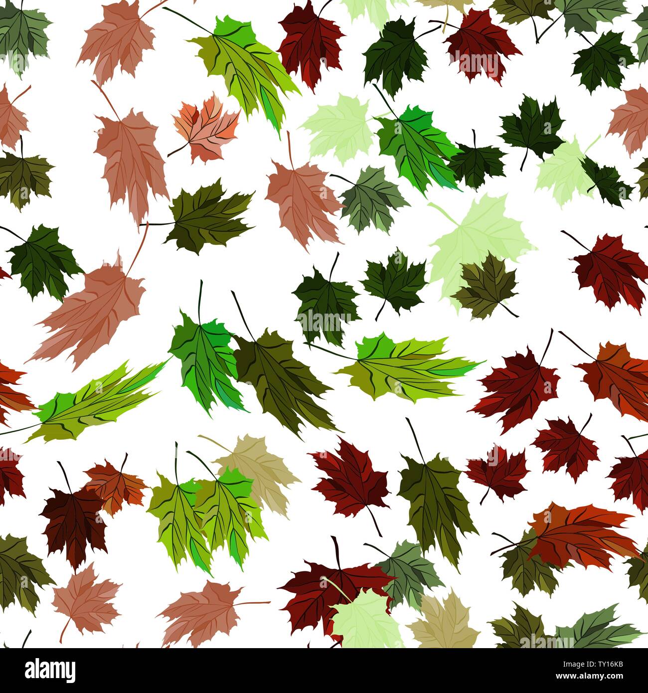 Deciduous ginger Stock Vector Images - Alamy