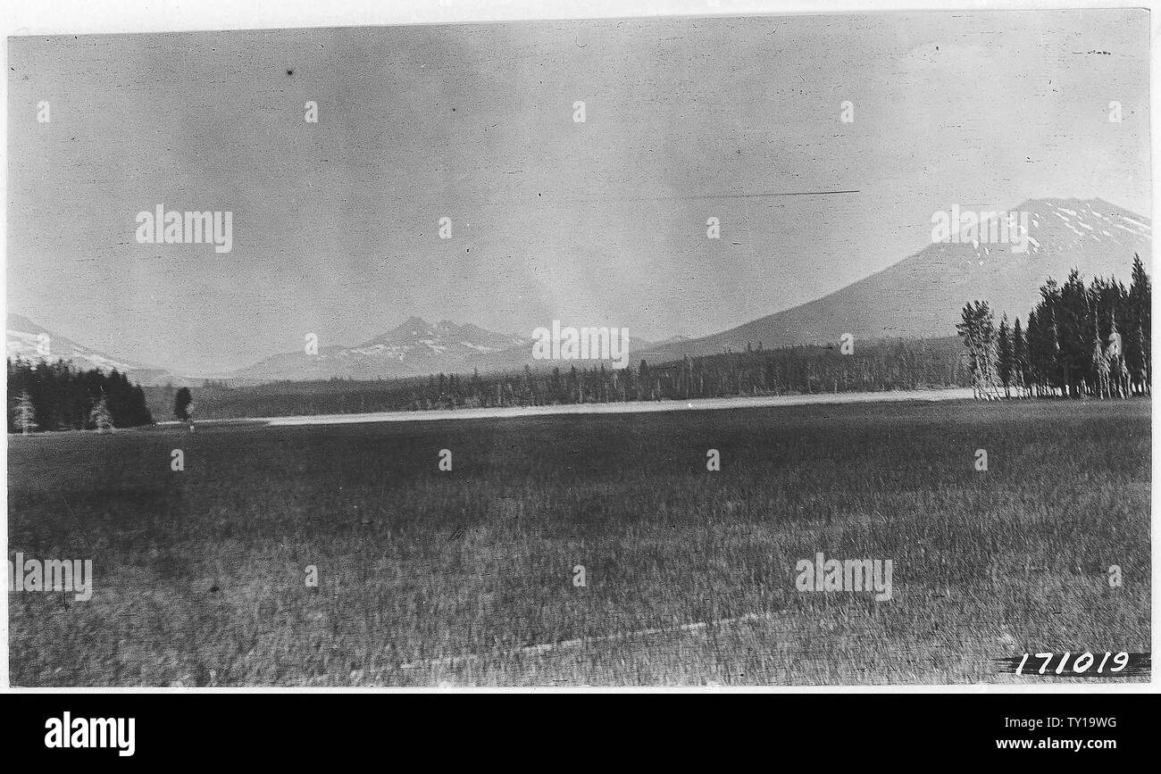 Bunchgrass Black and White Stock Photos & Images - Alamy