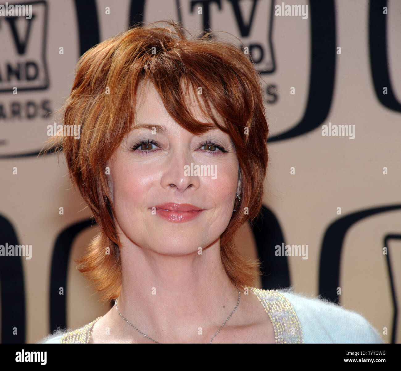 Actress Sharon Lawrence attends the 8th annual TV Land Awards at Sony ...