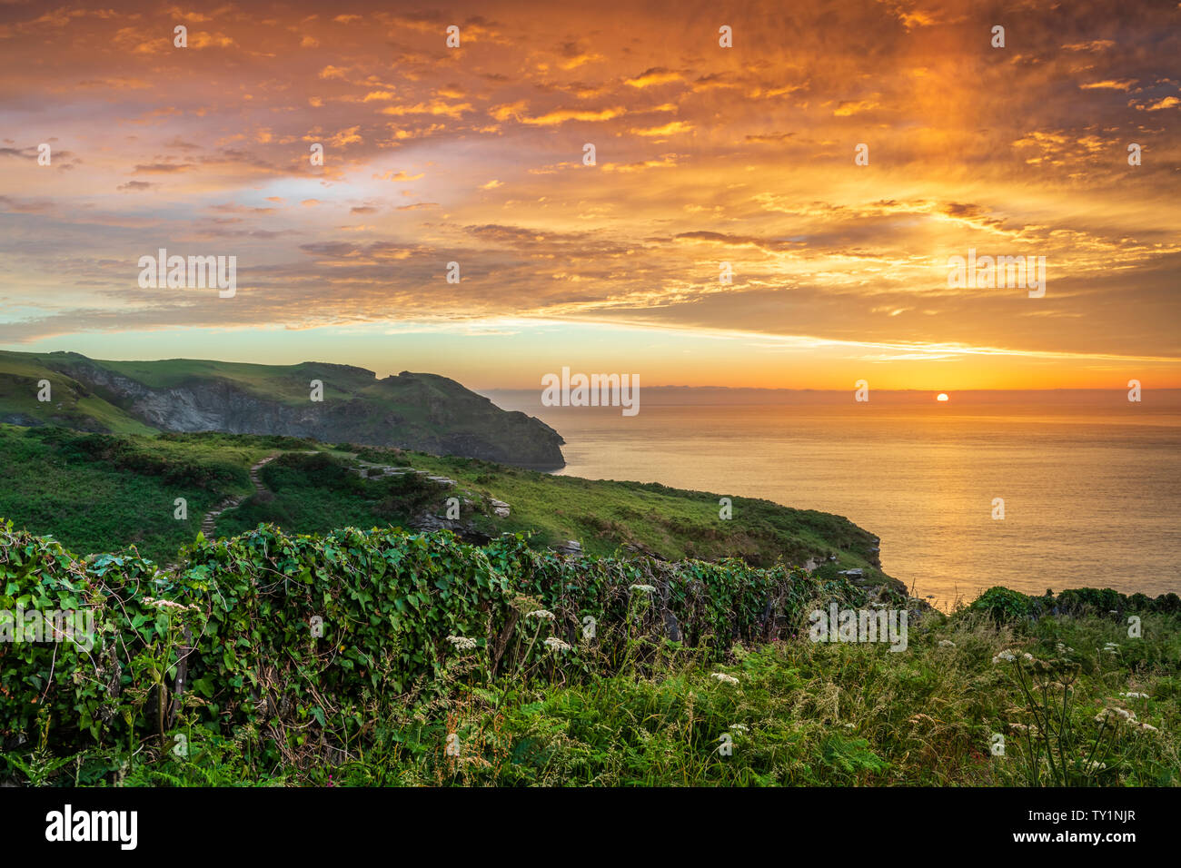 Bossiney Cove, North Cornwall, England. Monday 24th June 2019. UK ...