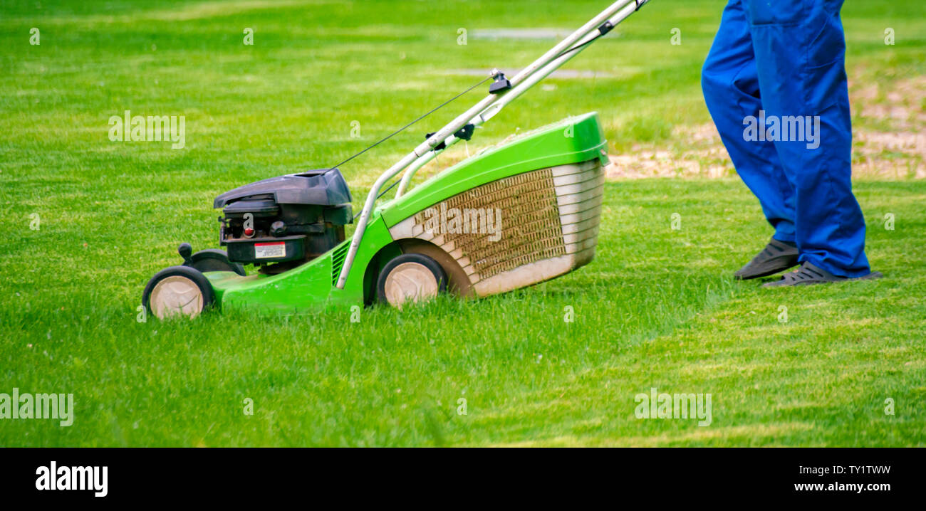 gardener worker cutting grass with mower in the backyard lawn fields ...