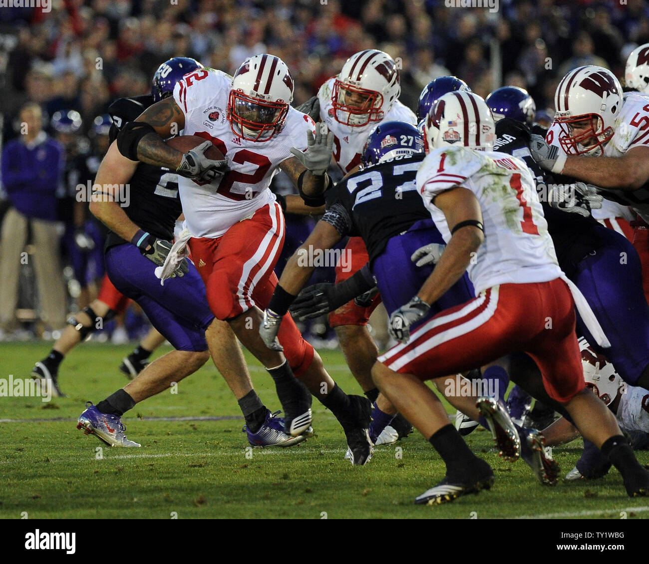 Texas christian horned frogs hi-res stock photography and images - Alamy