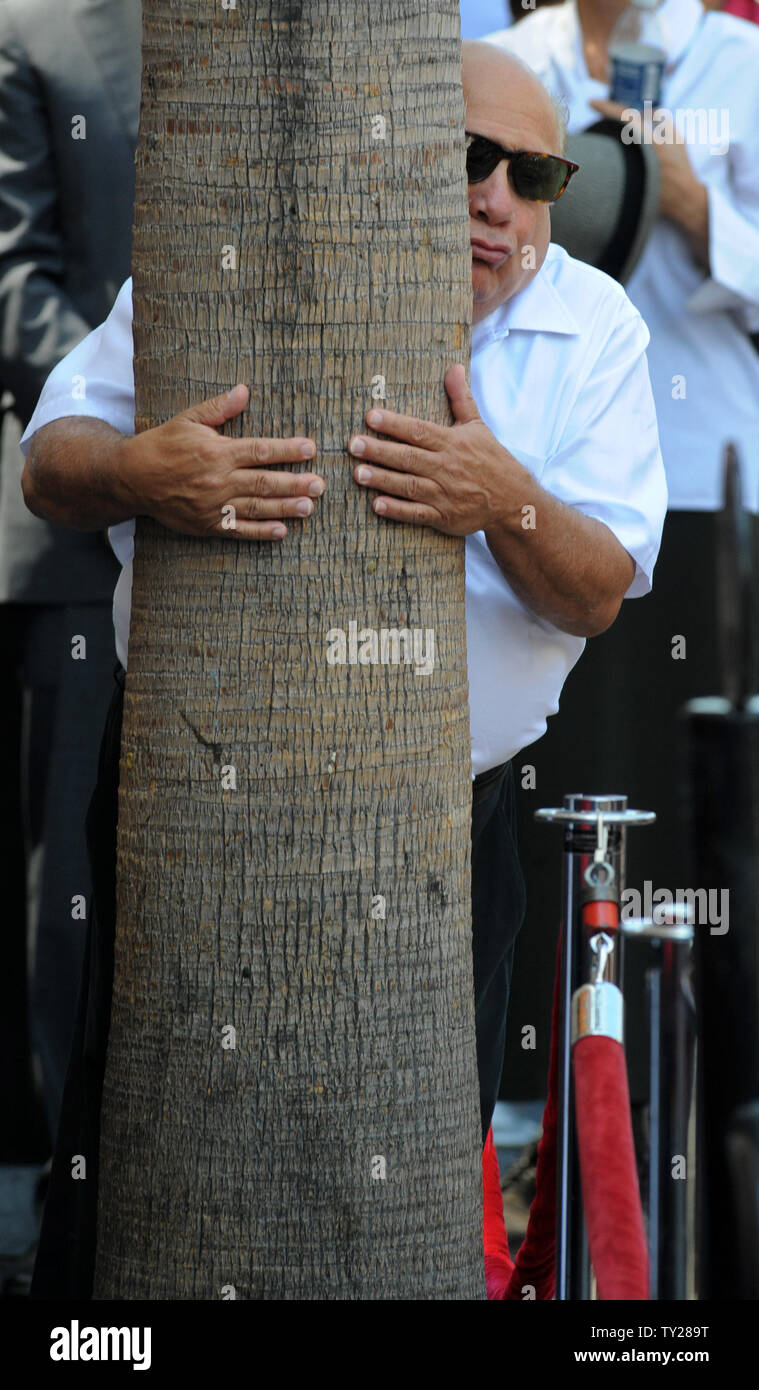 Actor Danny DeVito, hugs a palm tree as he is introduced to be honored ...