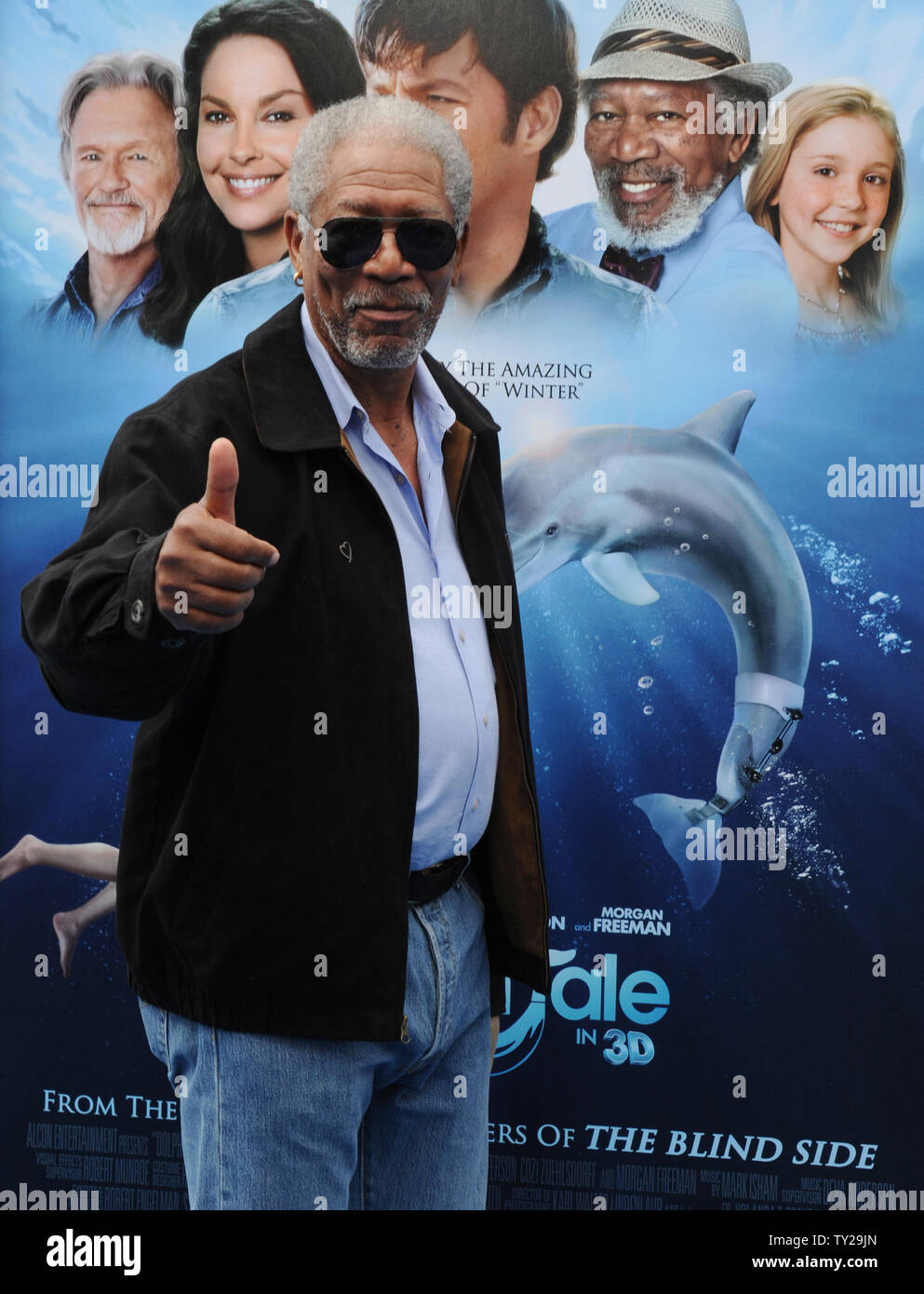 A dolphin tale morgan freeman hi-res stock photography and images - Alamy