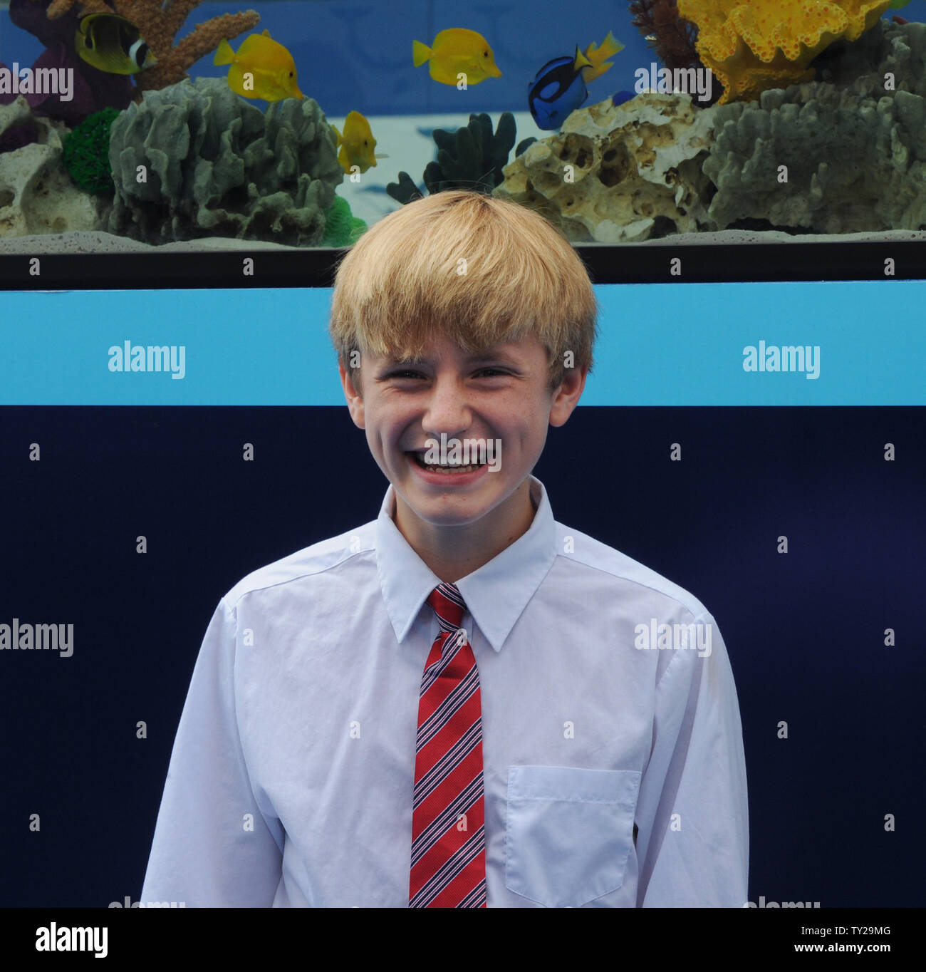 Nathan Gamble, a cast member in the motion picture family drama ...