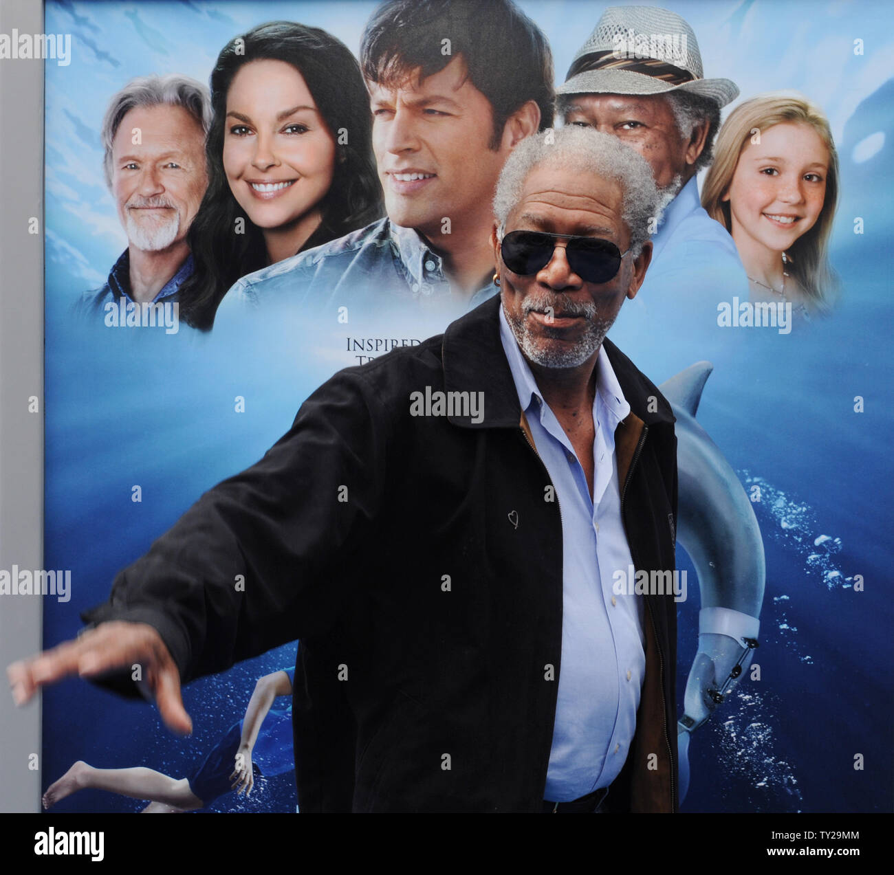 A dolphin tale morgan freeman hi-res stock photography and images - Alamy