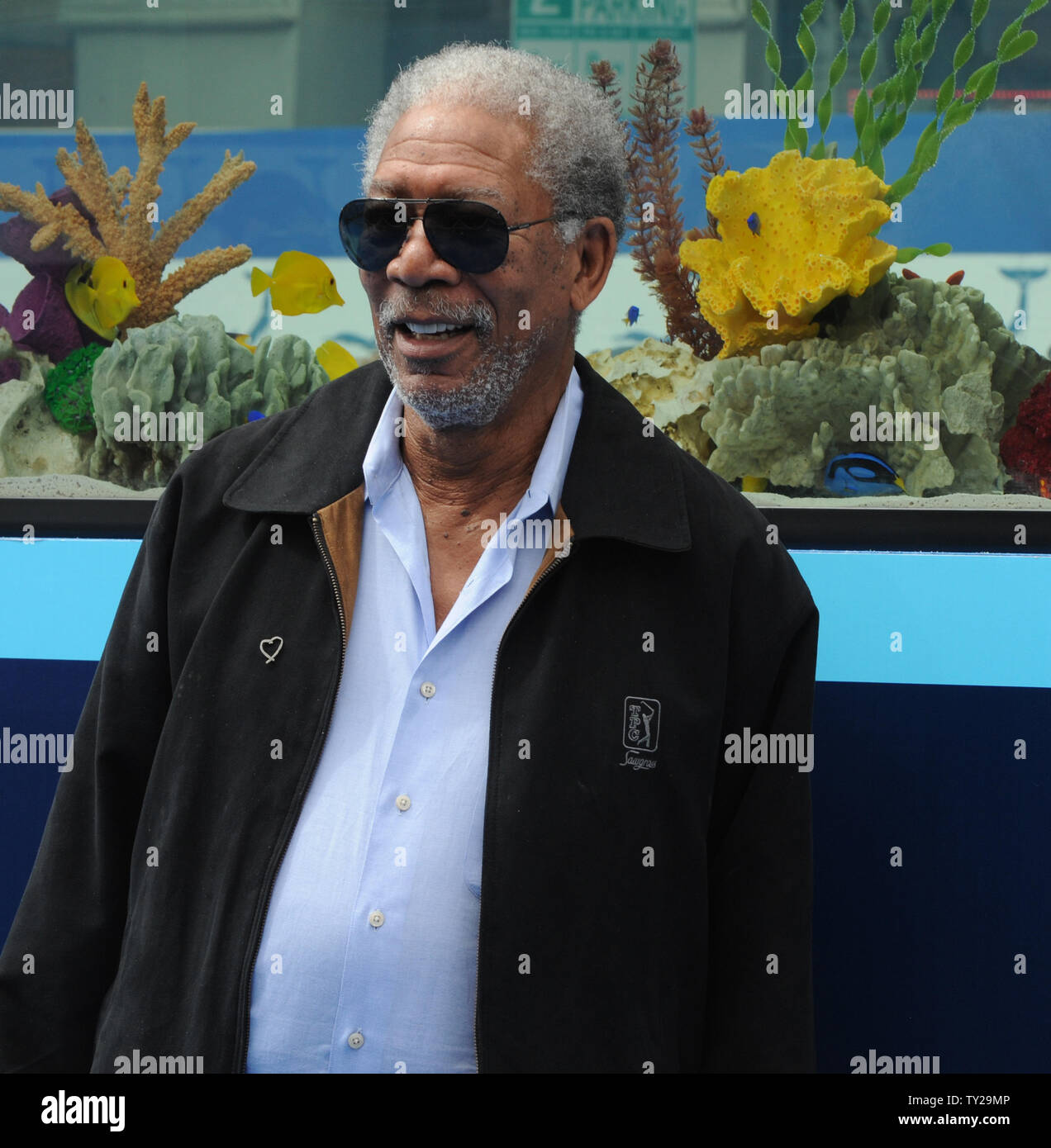 Morgan Freeman, a cast member in the motion picture family drama ...