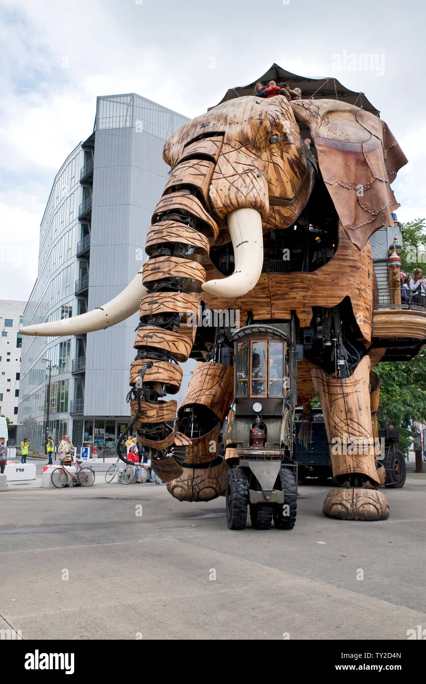 The Grand Elephant High Resolution Stock Photography and Images - Alamy