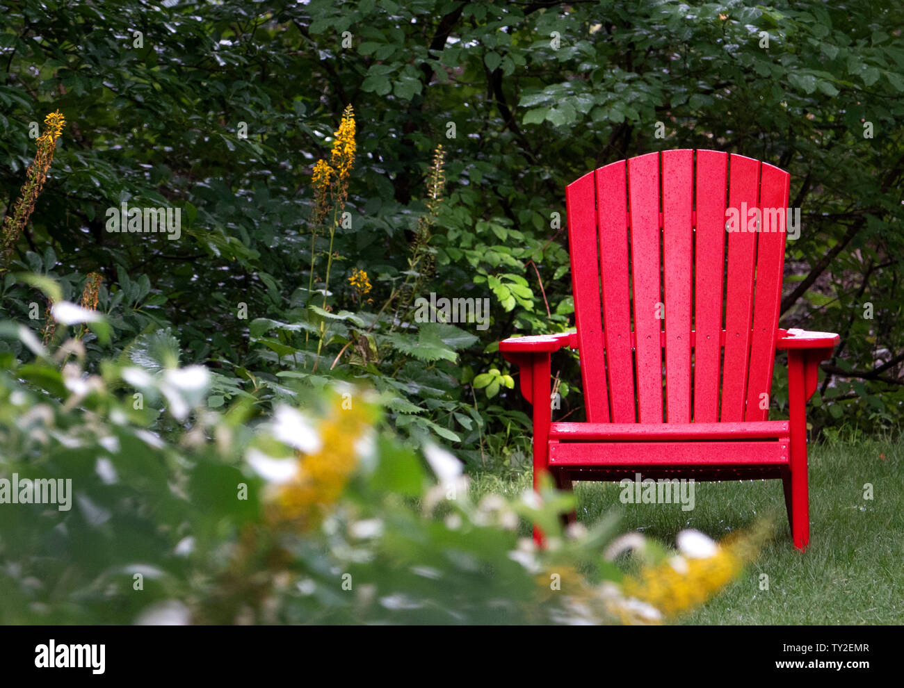 The red chair Stock Photo - Alamy