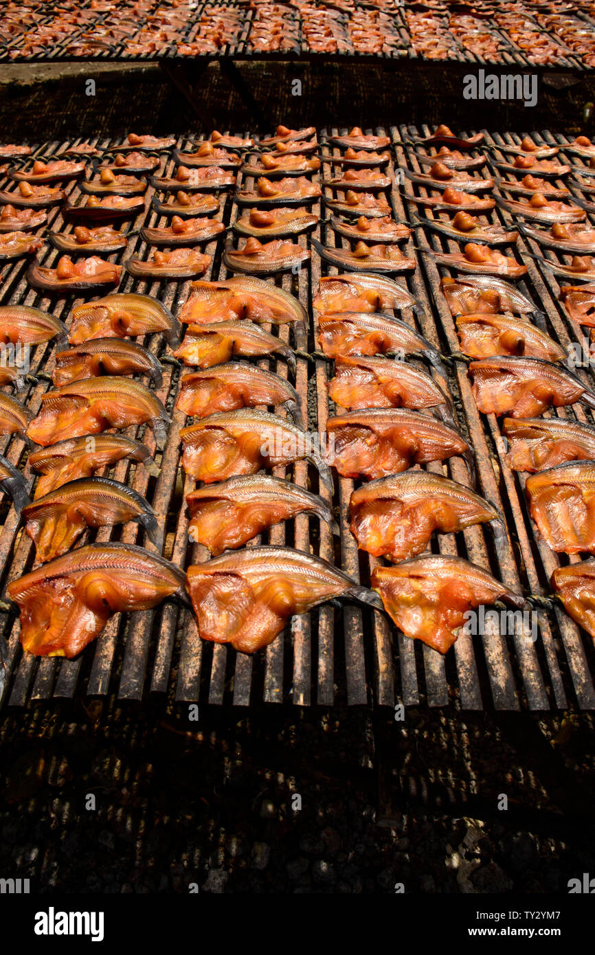 Recently caught fish, dressed and drying in the warm sunshine, here on ...