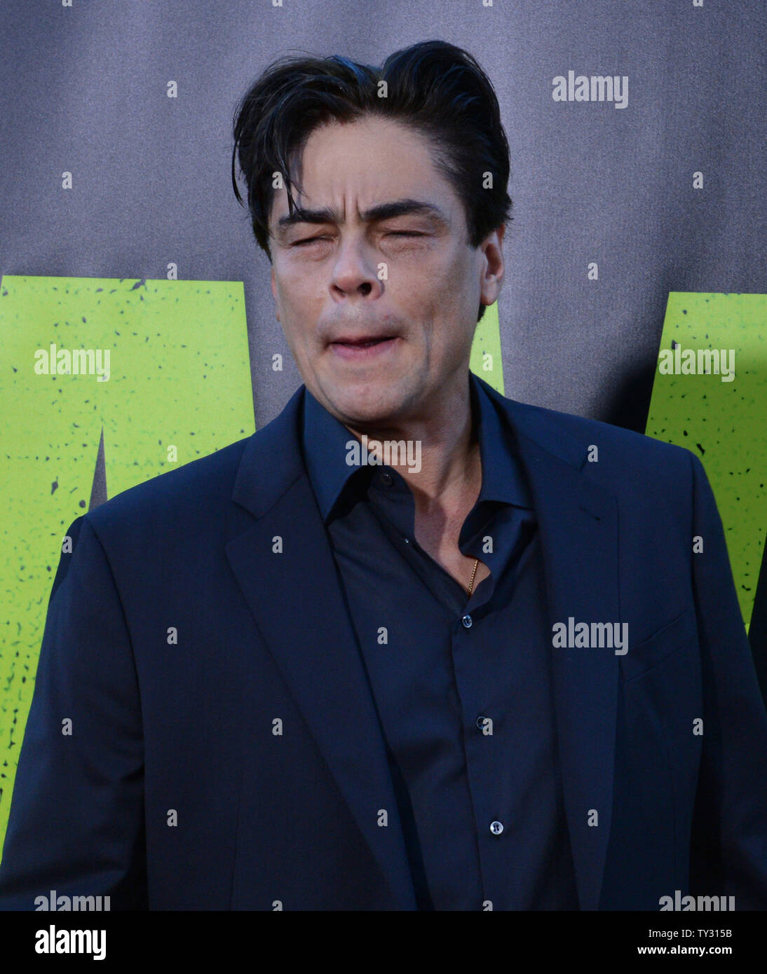Actor Benicio Del Toro, a cast member in the motion picture crime ...
