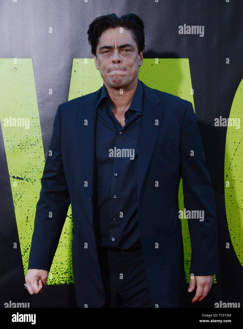 Cast member benicio del toro hi-res stock photography and images - Alamy