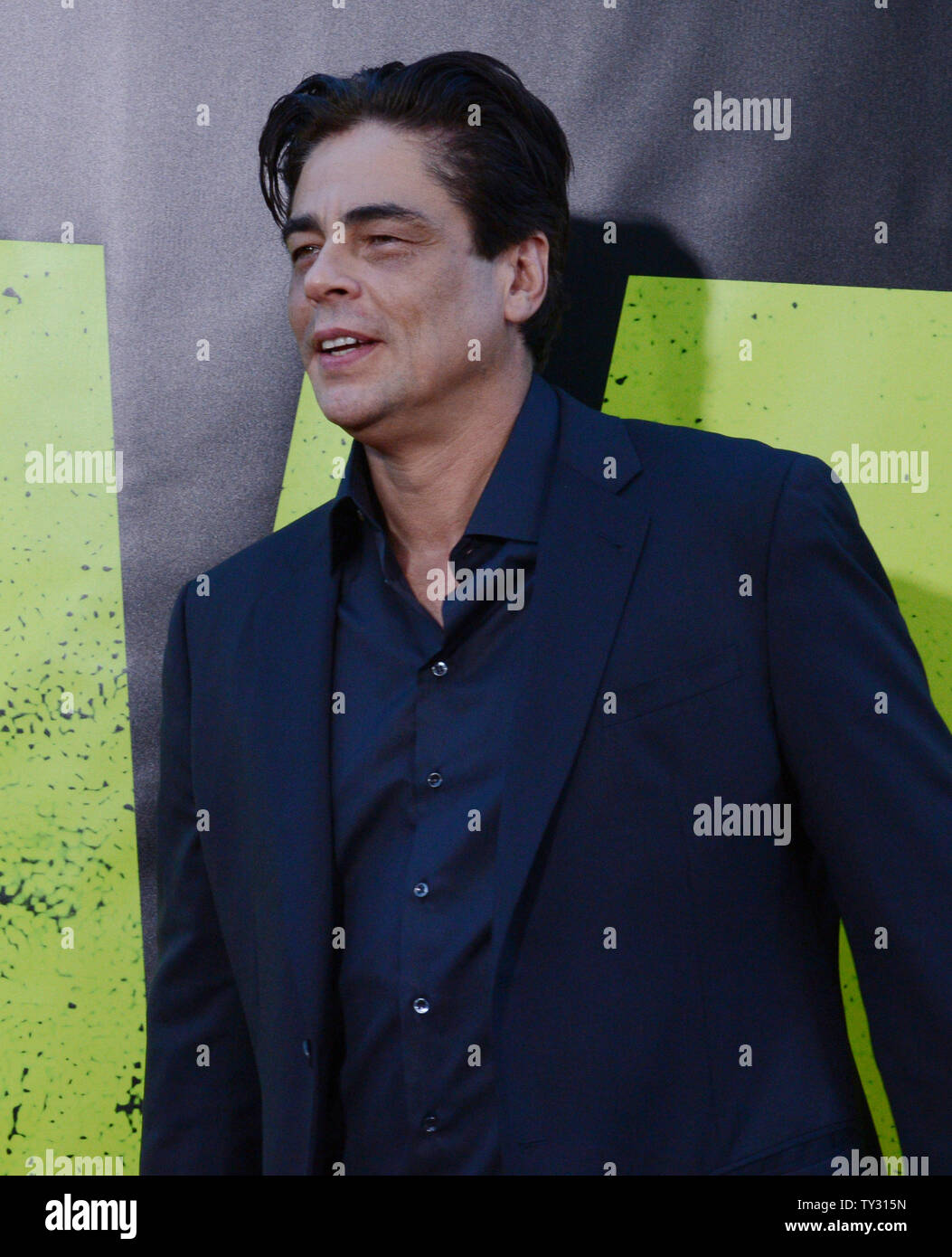 Actor Benicio Del Toro, a cast member in the motion picture crime ...