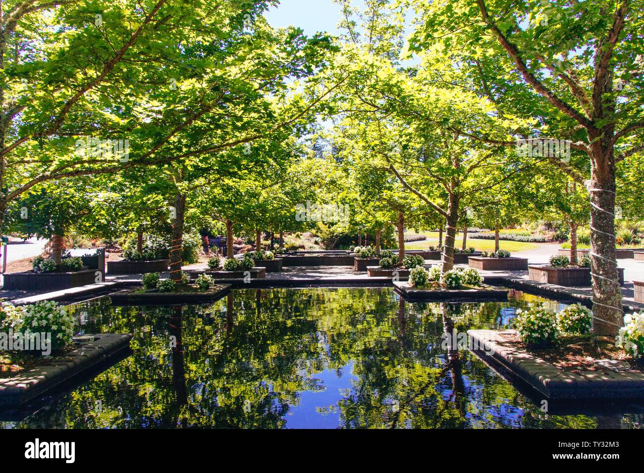 Beautiful scenery of an amazing wild forest with breathtaking greenery ...