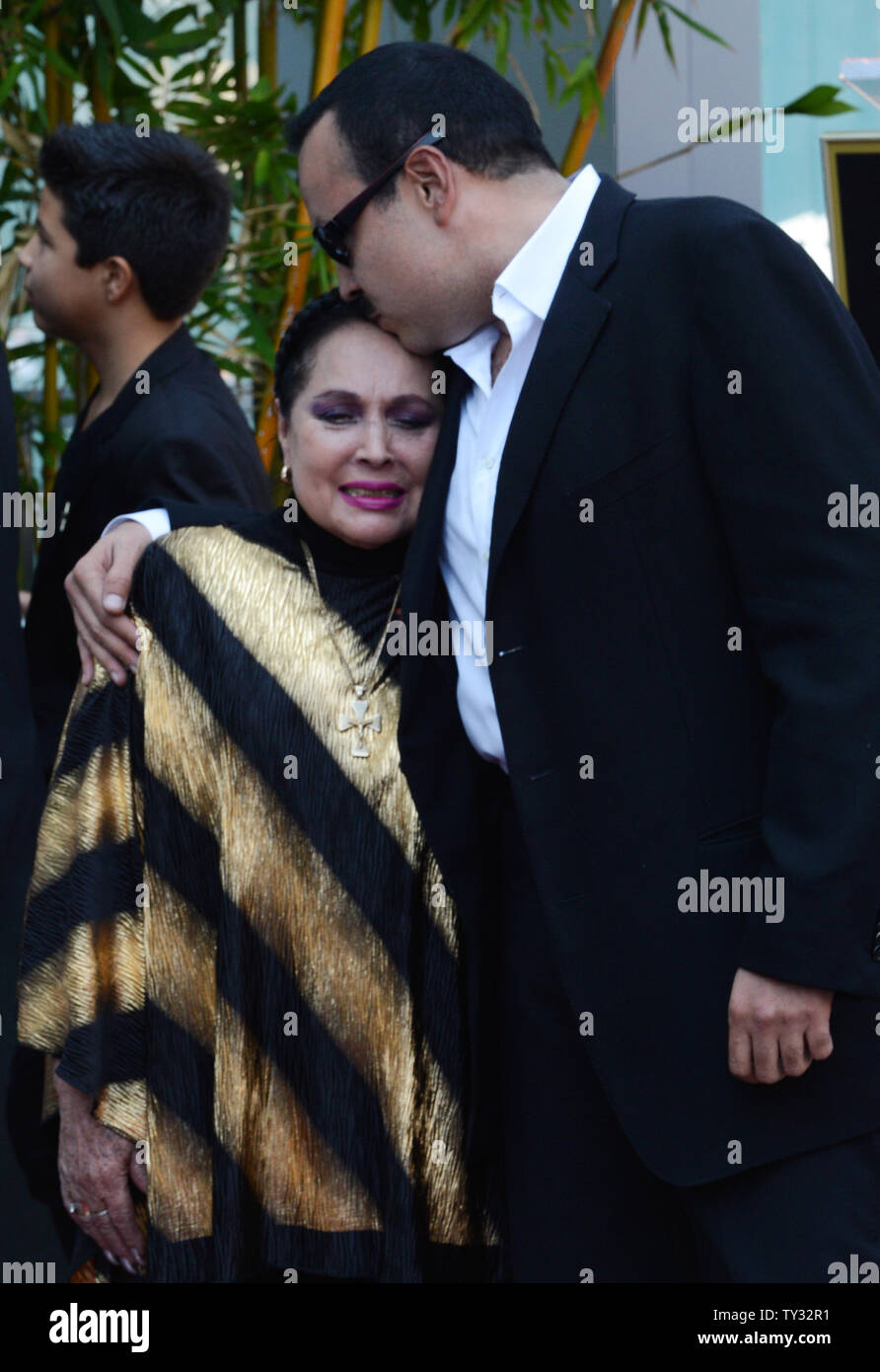 Flor silvestre hi-res stock photography and images - Alamy