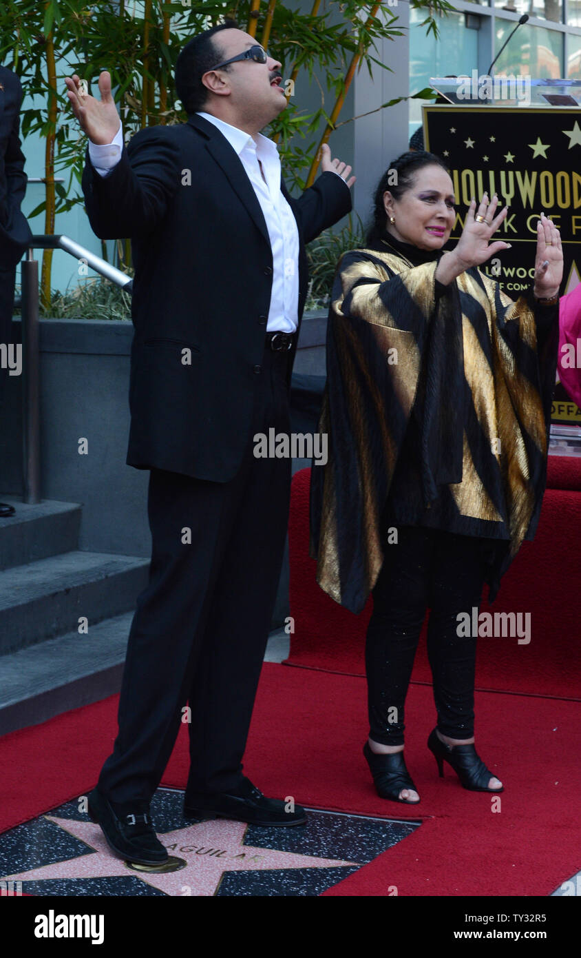 Flor silvestre hi-res stock photography and images - Alamy