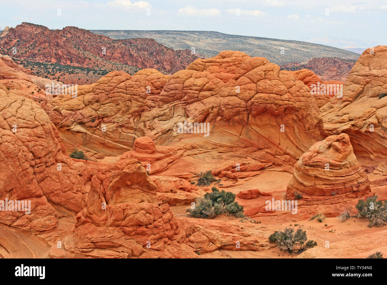 Brain Rocks - Utah Stock Photo - Alamy