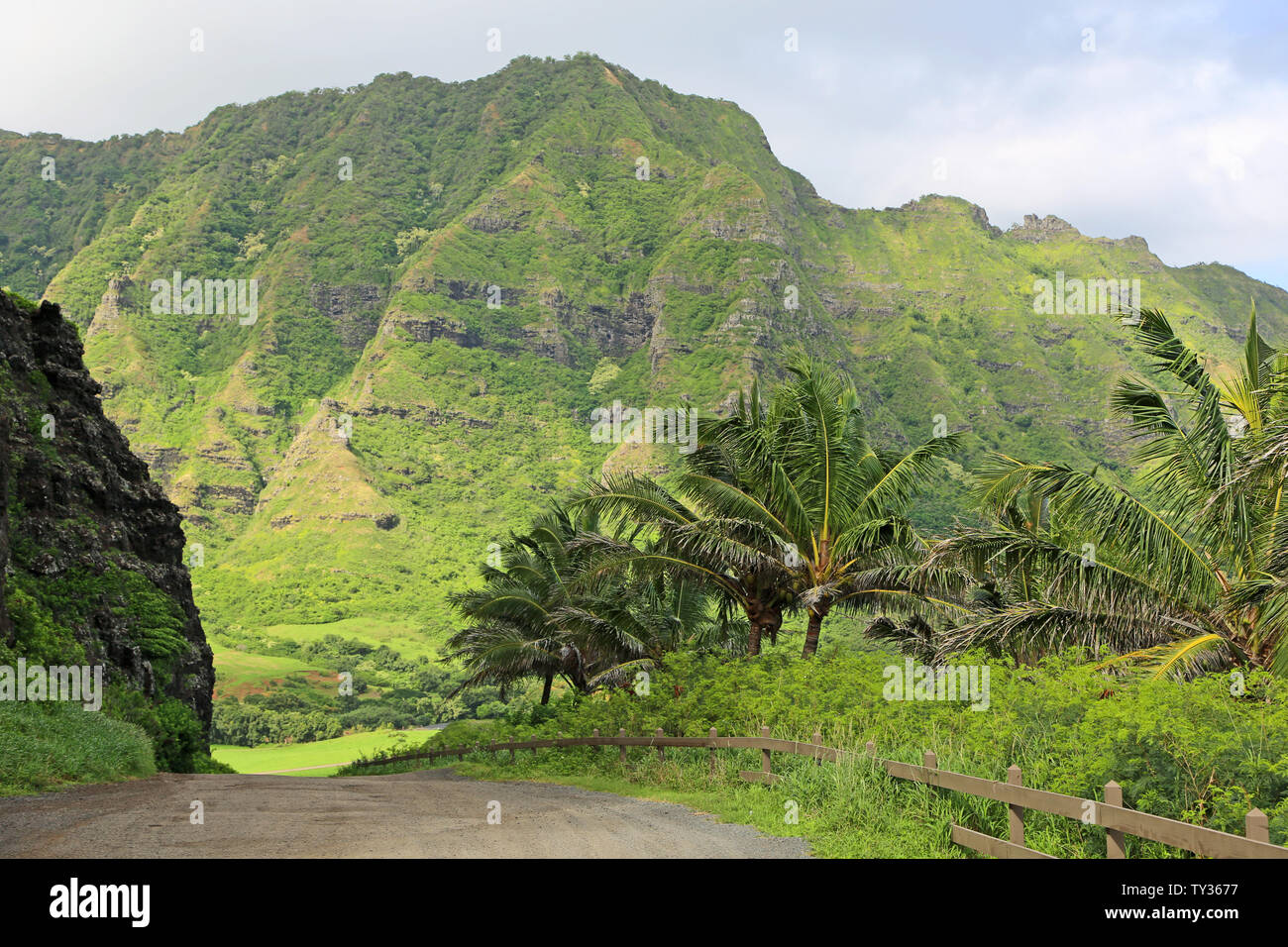 Road to Kaaawa Valley - Oahu, Hawaii Stock Photo - Alamy