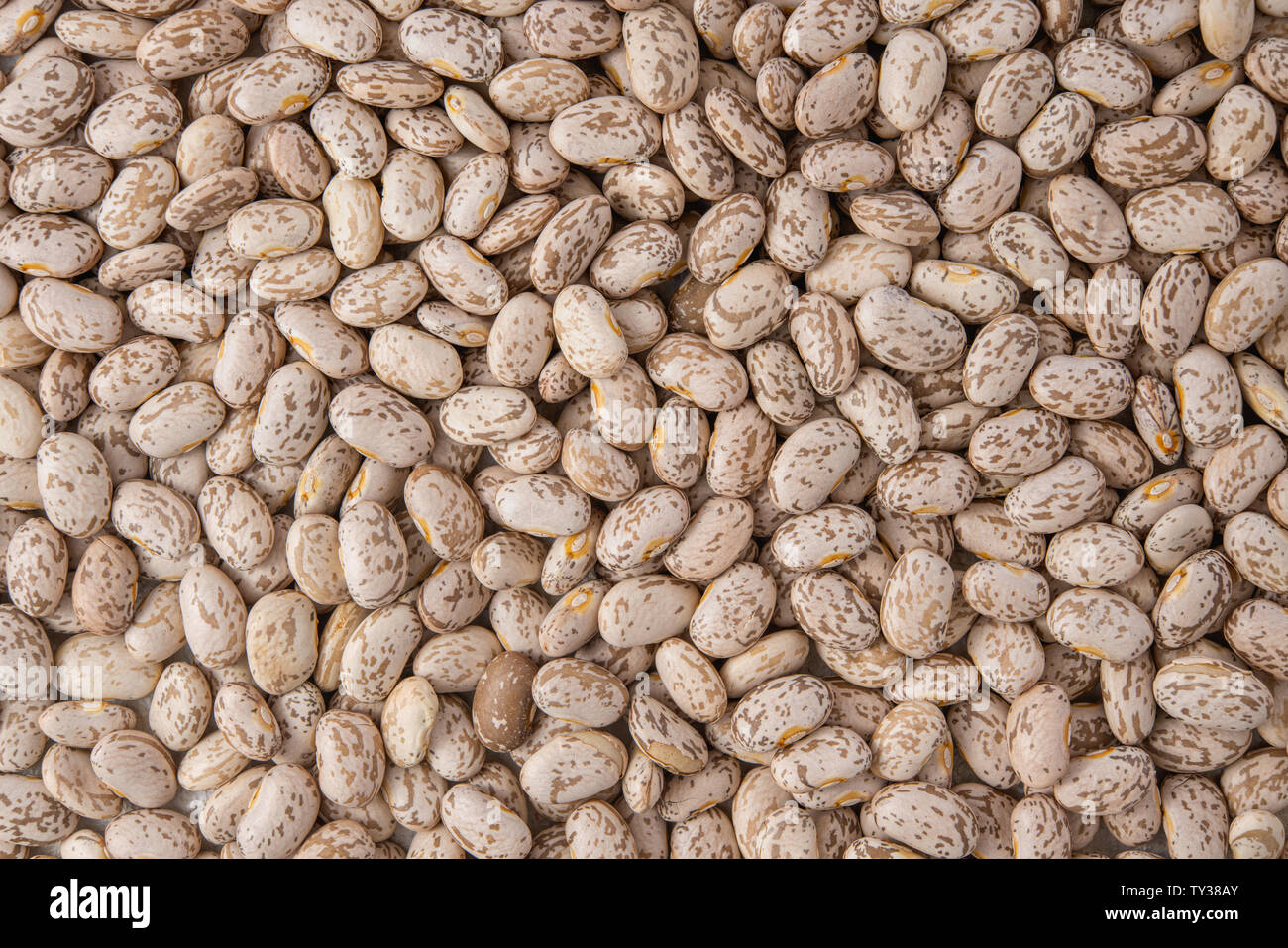 Pinto Beans Close Up Top view, Food Background, Dried Beans, Legume ...