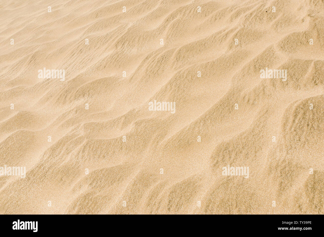 White and yellow sand on desert beach Stock Photo - Alamy