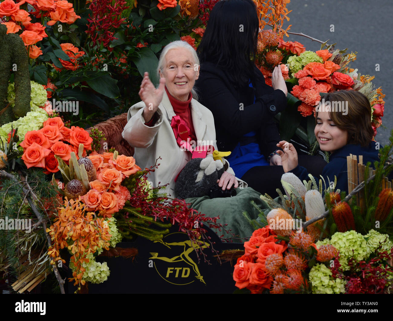 Jane goodall chimpanzees hi-res stock photography and images - Alamy