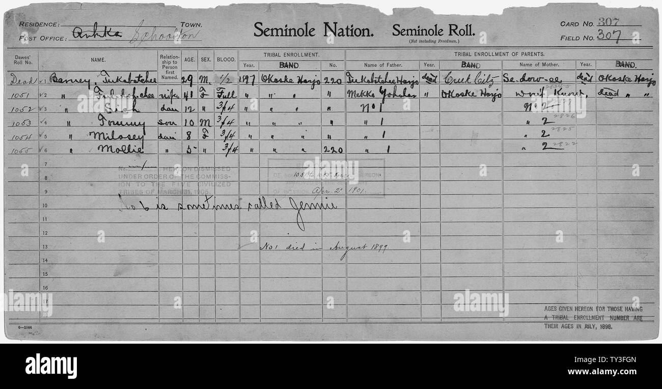Enrollment for Seminole Census Card 307; Scope and content: Name ...