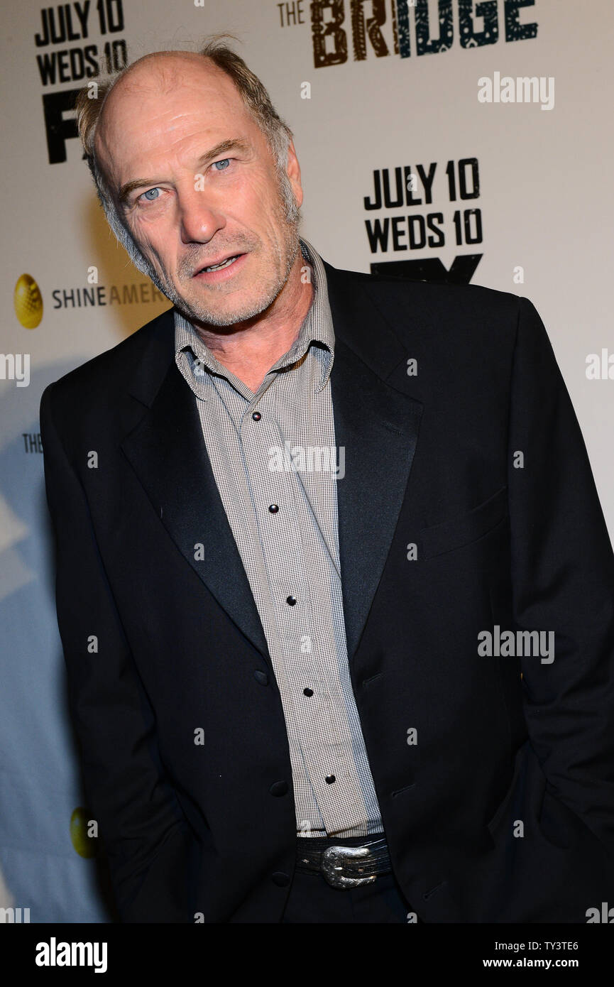 Actor Ted Levine, a cast member in the FX television series "The Bridge ...