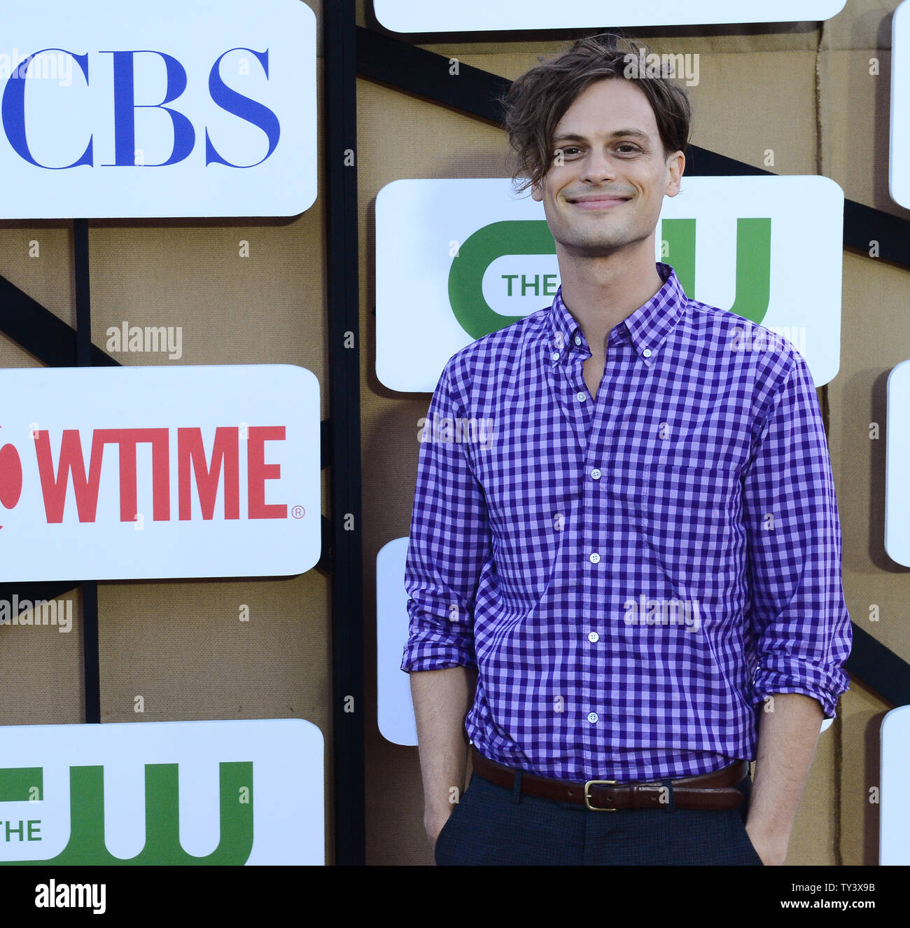 Actor Matthew Gray Gubler attends the CBS and Showtime summer TCA party ...