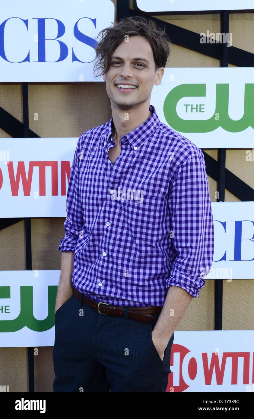 Actor Matthew Gray Gubler attends the CBS and Showtime summer TCA party ...
