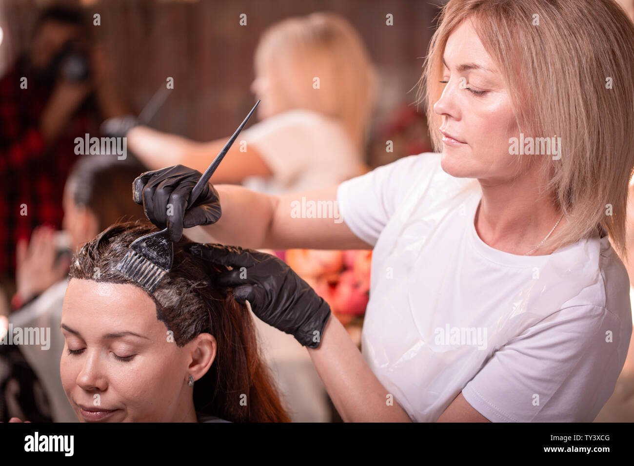 Hair coloring in the salon, hair styling. Professional wizard paints ...