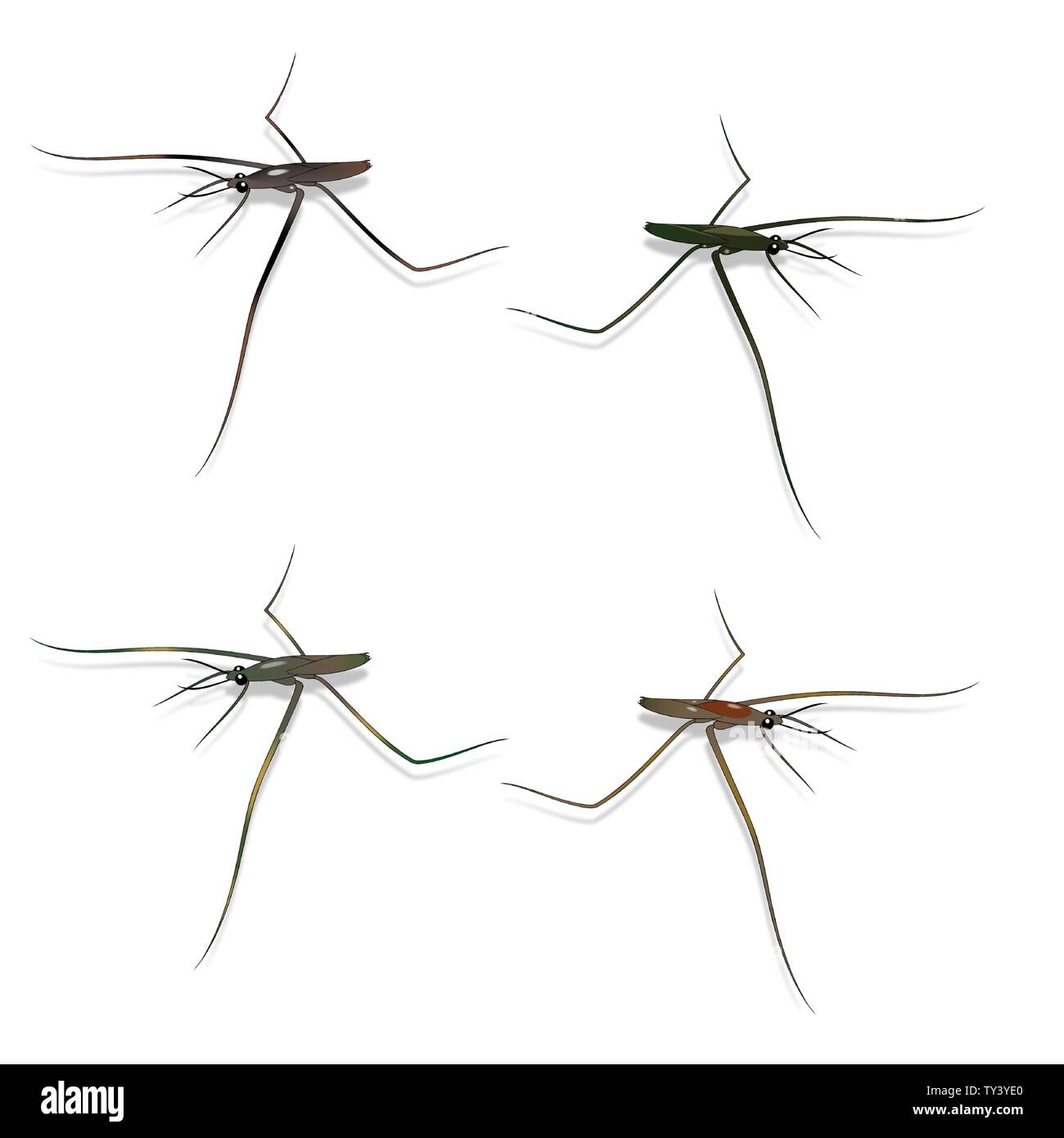 Collecting insects Stock Vector Images - Alamy