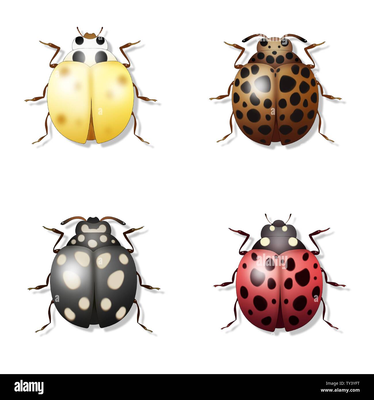 Collecting insects Cut Out Stock Images & Pictures - Alamy