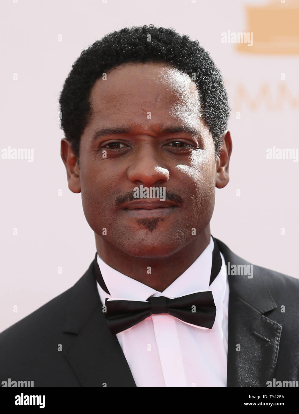 Actor Blair Underwood arrives for the 65th Primetime Emmy Awards at ...