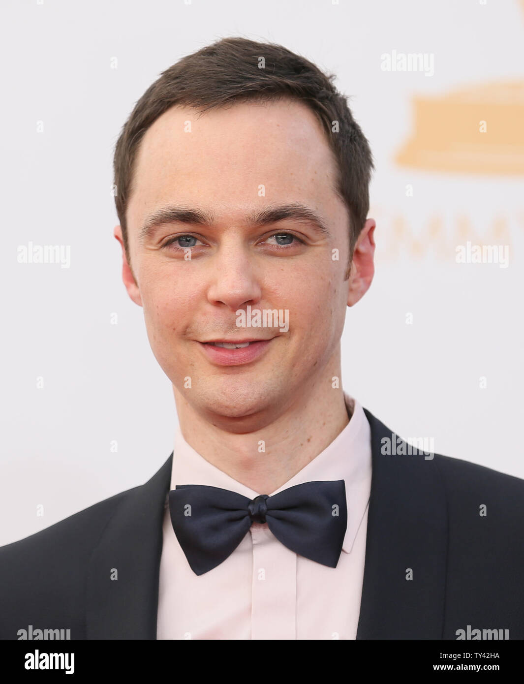 Actor Jim Parson arrives for the 65th Primetime Emmy Awards at Nokia ...
