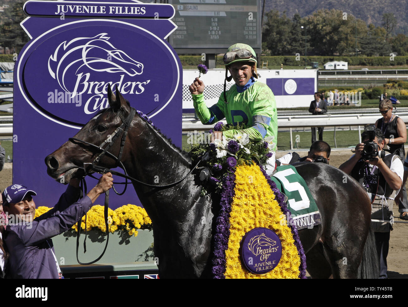 Ria circle hi-res stock photography and images - Alamy