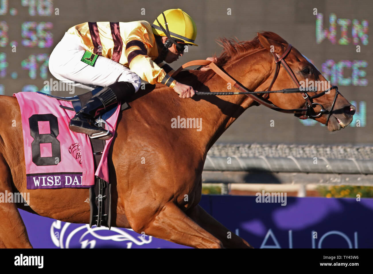 Jose lezcano hi-res stock photography and images - Alamy