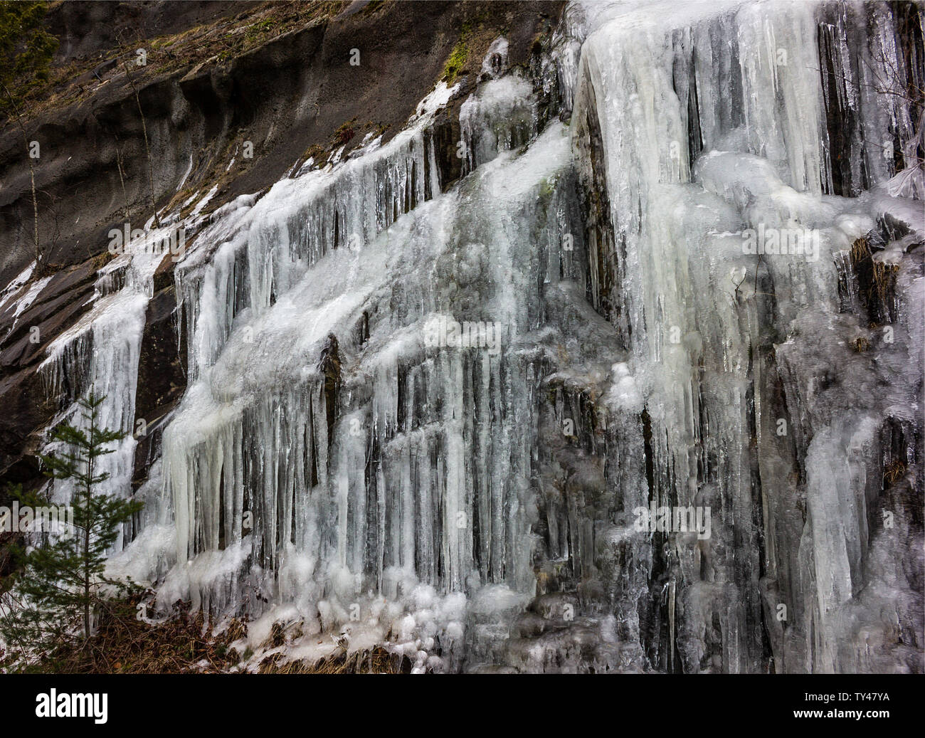 Beautiful icicles form as the water up in the mountains freezes ...