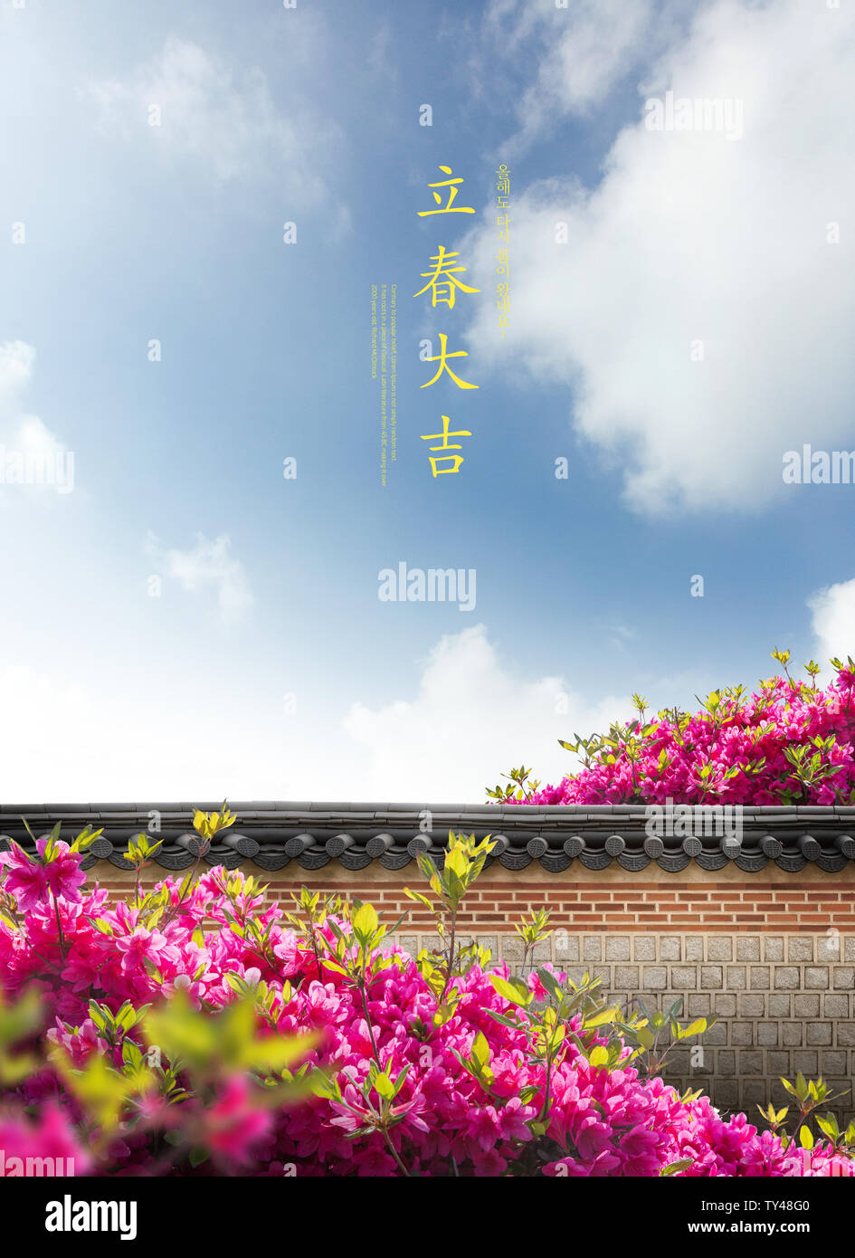 Spring season poster design with floral background 008 Stock Photo - Alamy