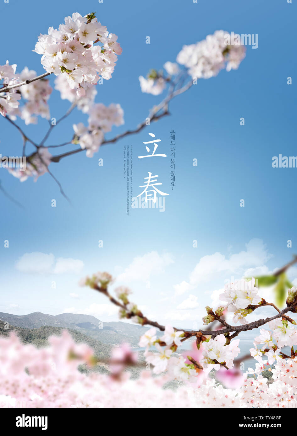 Spring season poster design with floral background 009 Stock Photo - Alamy