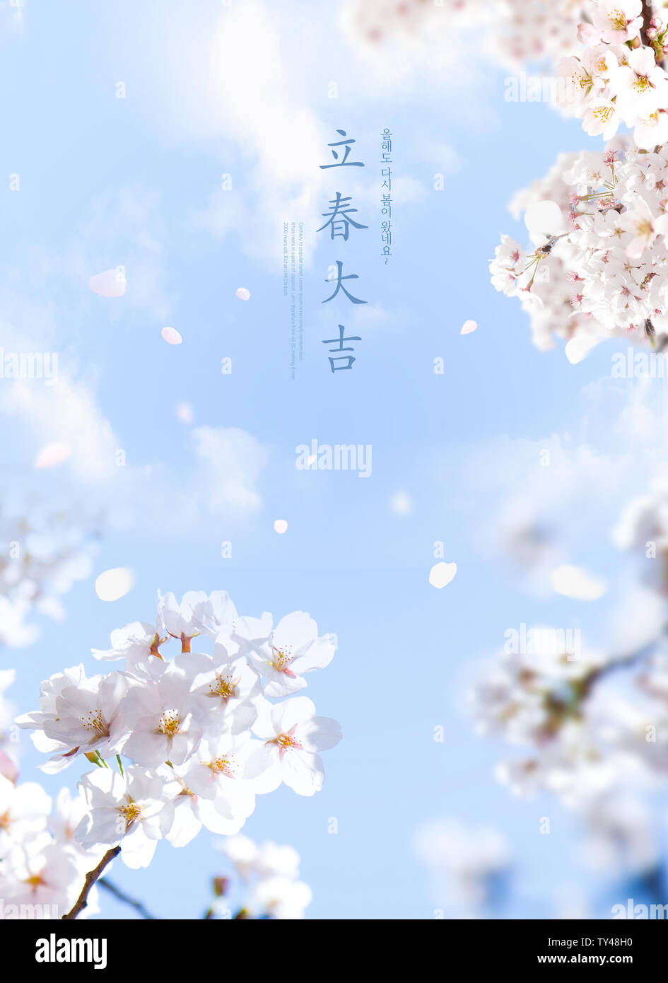 Spring season poster design with floral background 003 Stock Photo - Alamy