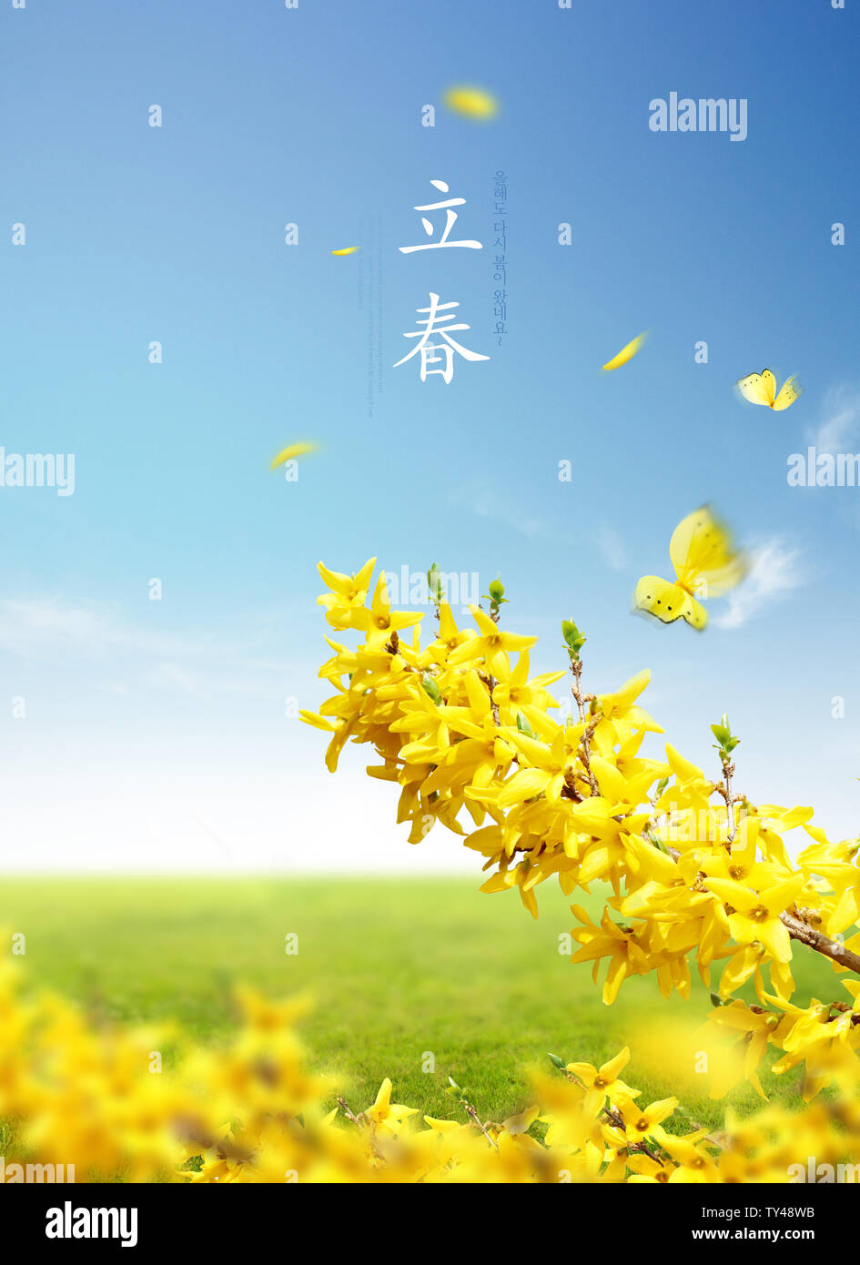 Spring season poster design with floral background 001 Stock Photo - Alamy