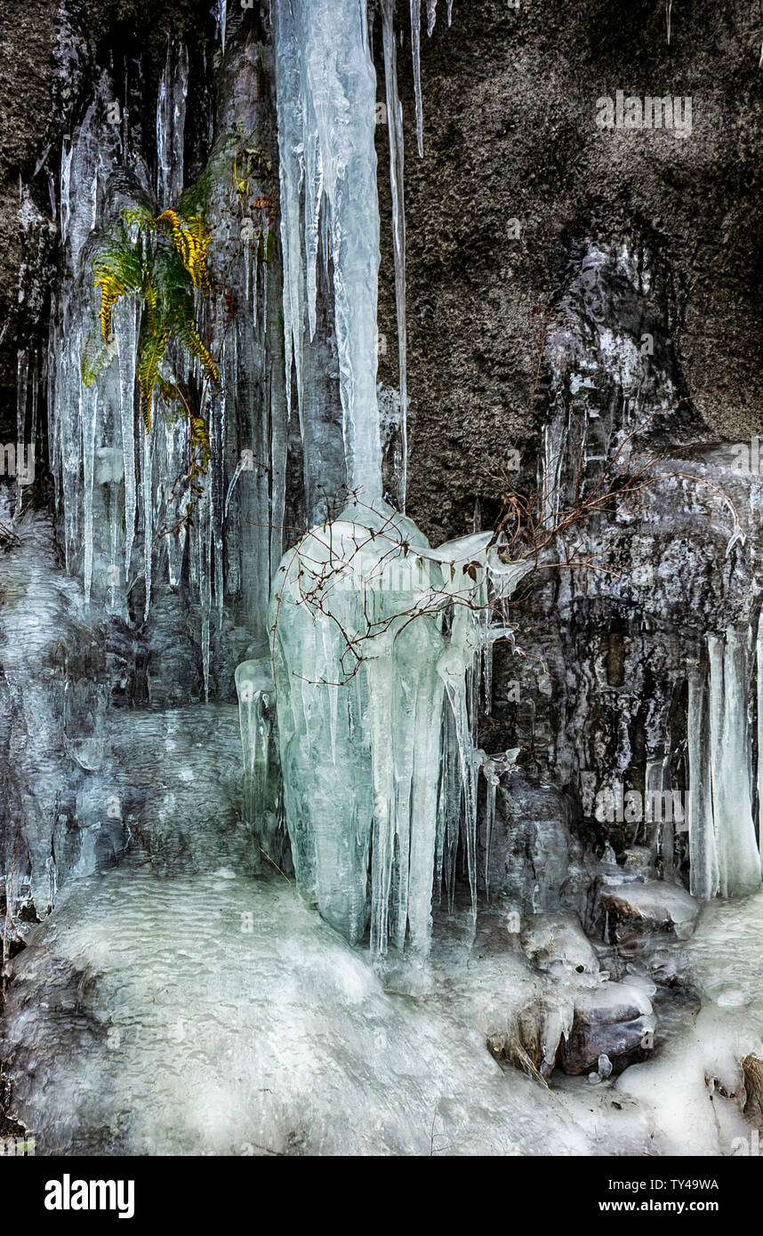 Beautiful icicles form as the water up in the mountains freezes ...