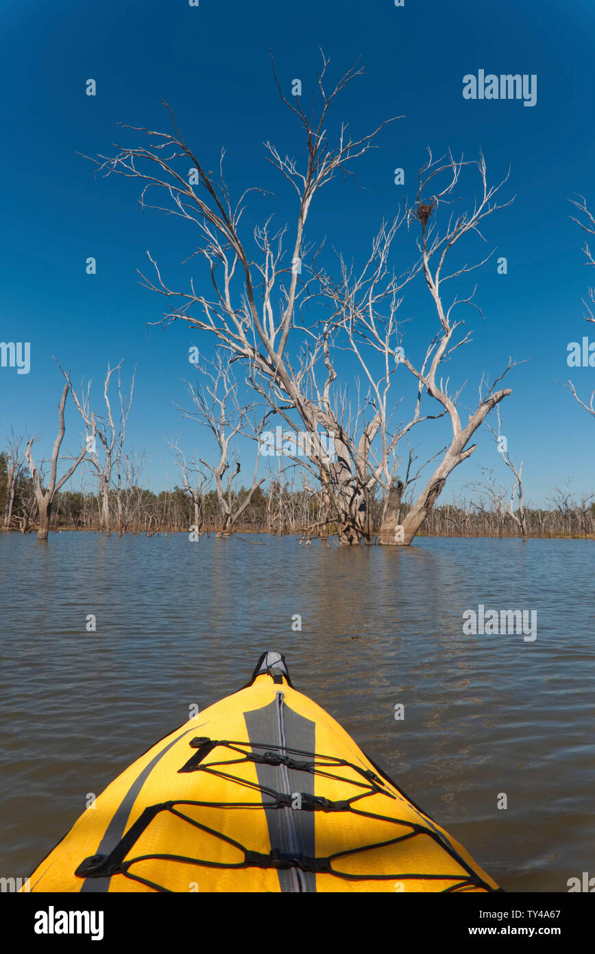 Kayaking on Lake Paradise at Mingo Crossing Queensland Australia Stock ...