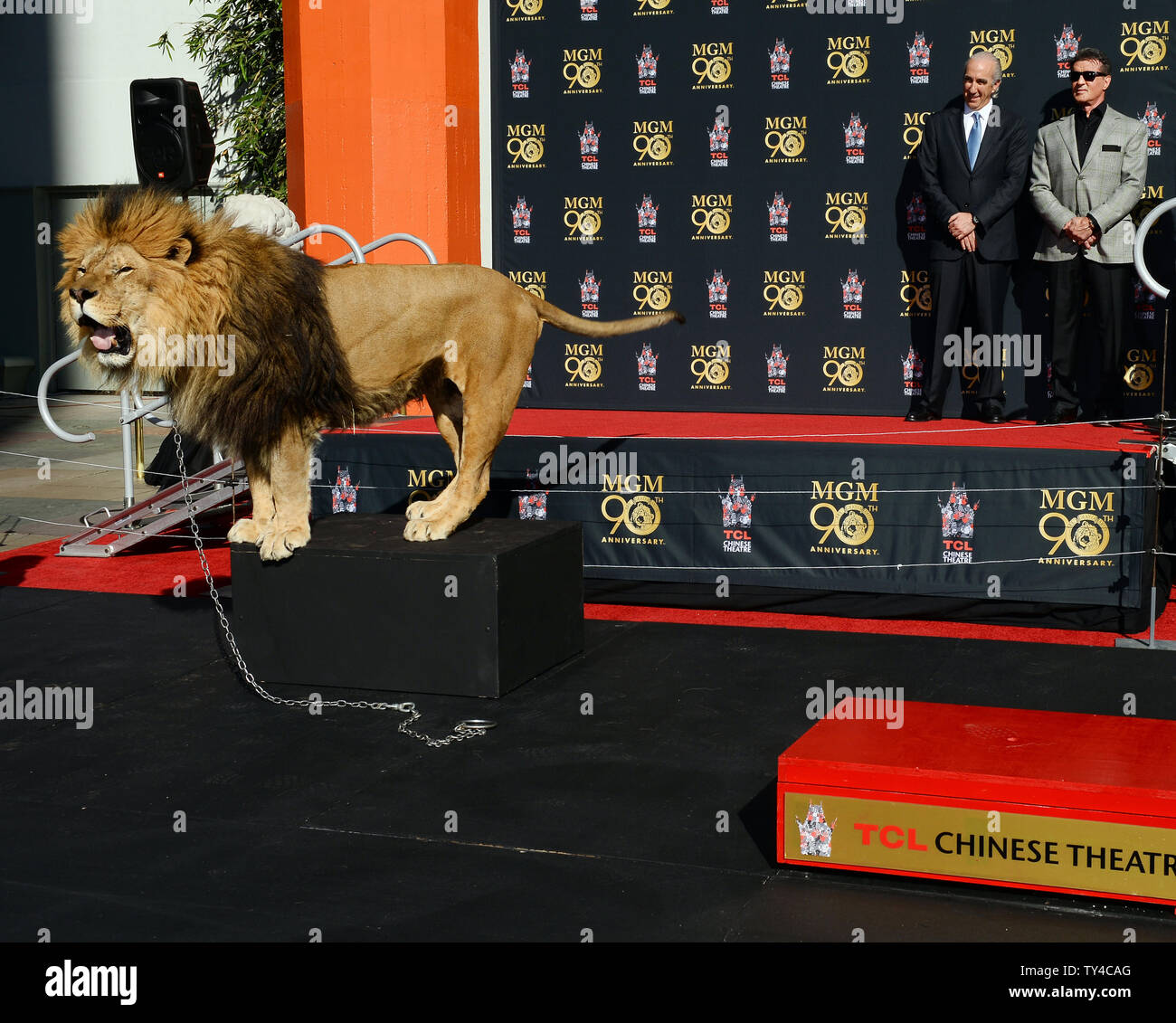 Mgm Tanner The Lion 1953