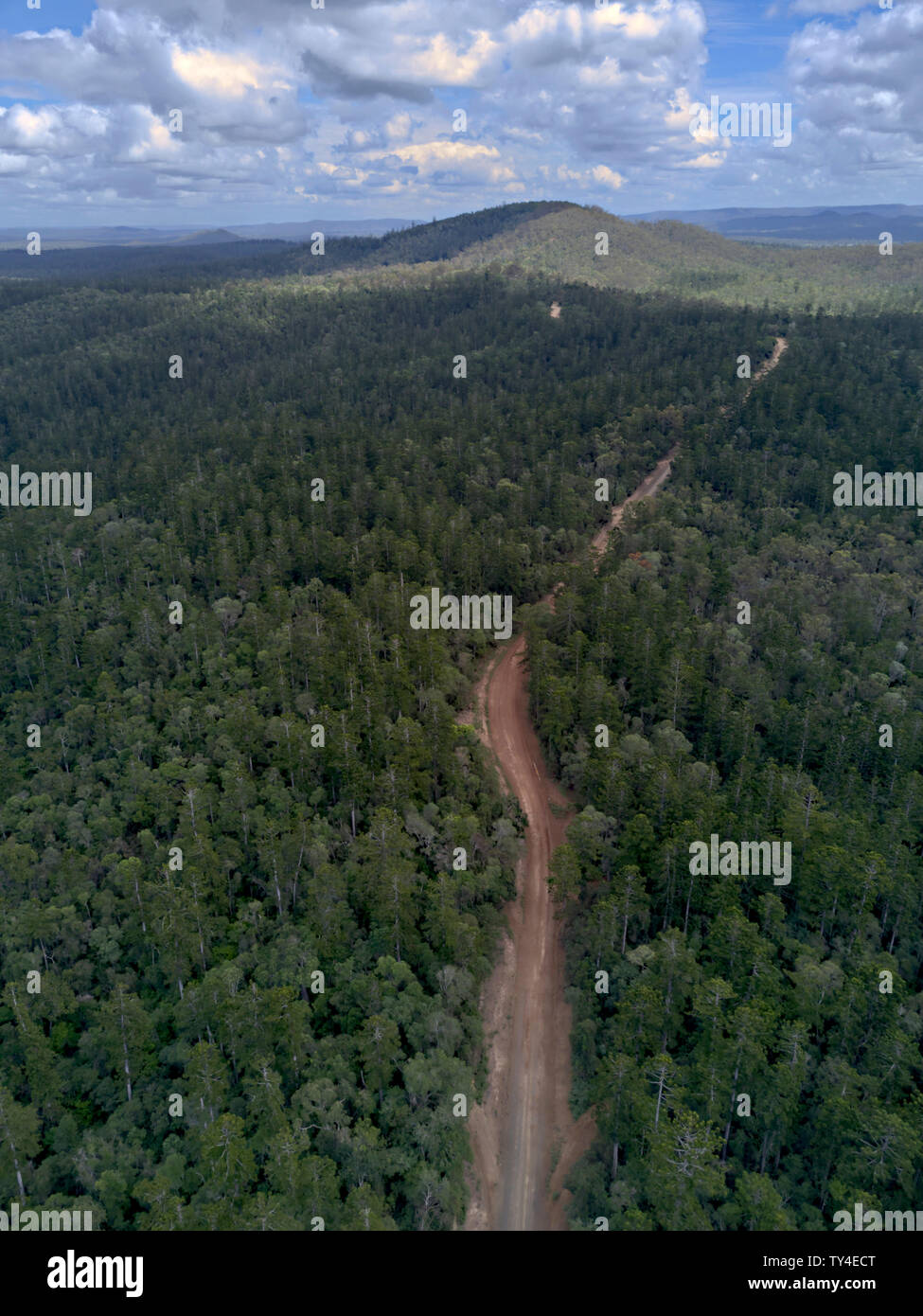 Aerial of unsealed road through the Hoop Pine forests of Goodnight ...