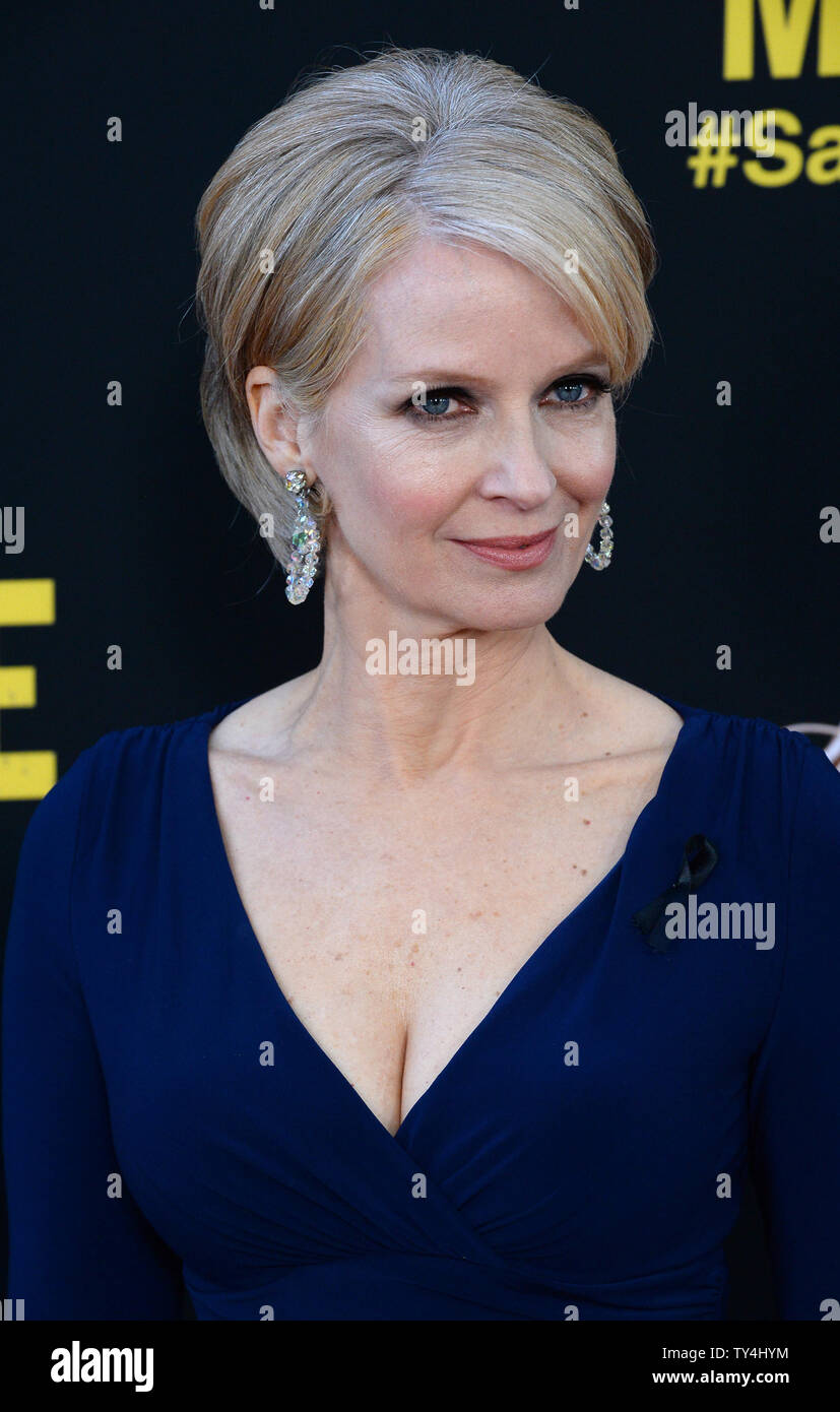 Actress Catherine Dyer attends the premiere of the motion picture crime ...