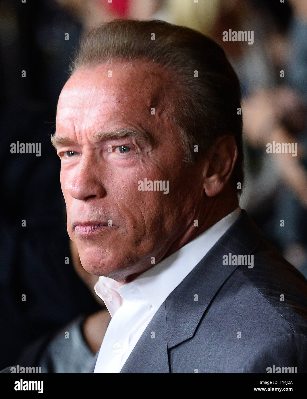 Actor Arnold Schwarzenegger attends the premiere of the motion picture ...