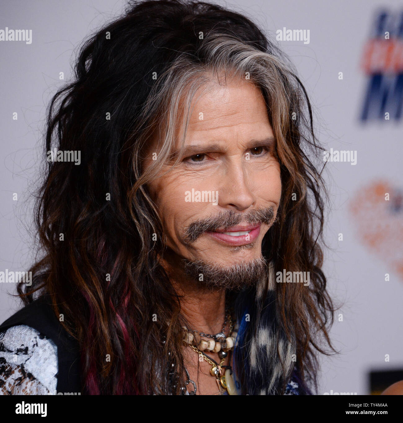 Singer and songwriter Steve Tyler attends the 21st annual Race To Erase ...